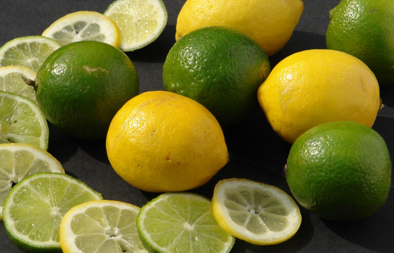 learndaily.org – Discover Why Lemons Float and Limes Sink in Water